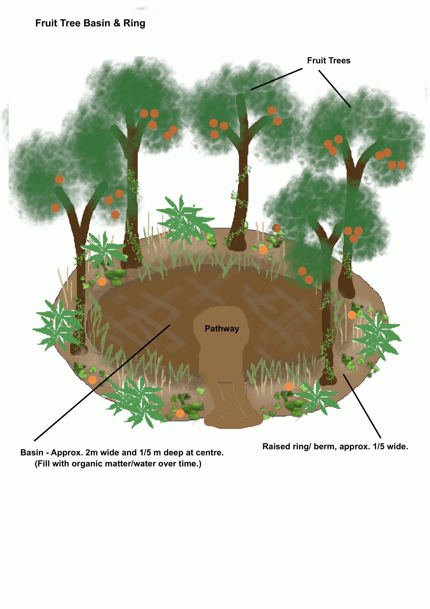 Case Study: Fruit Tree Circles For Small Space Temperate Gardens – EWSP ...
