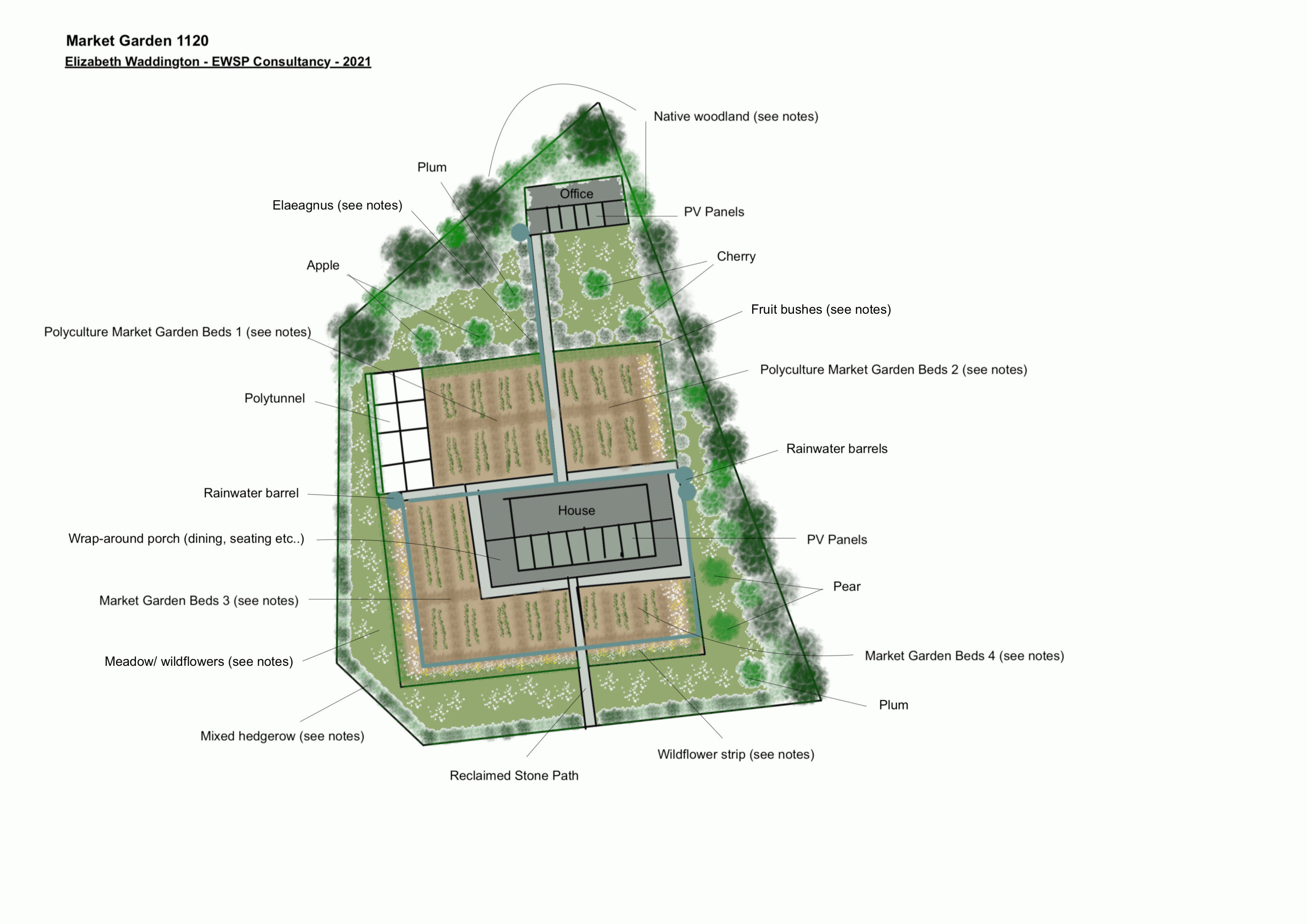 Case Study: Market Garden Permaculture Design – EWSP Consultancy