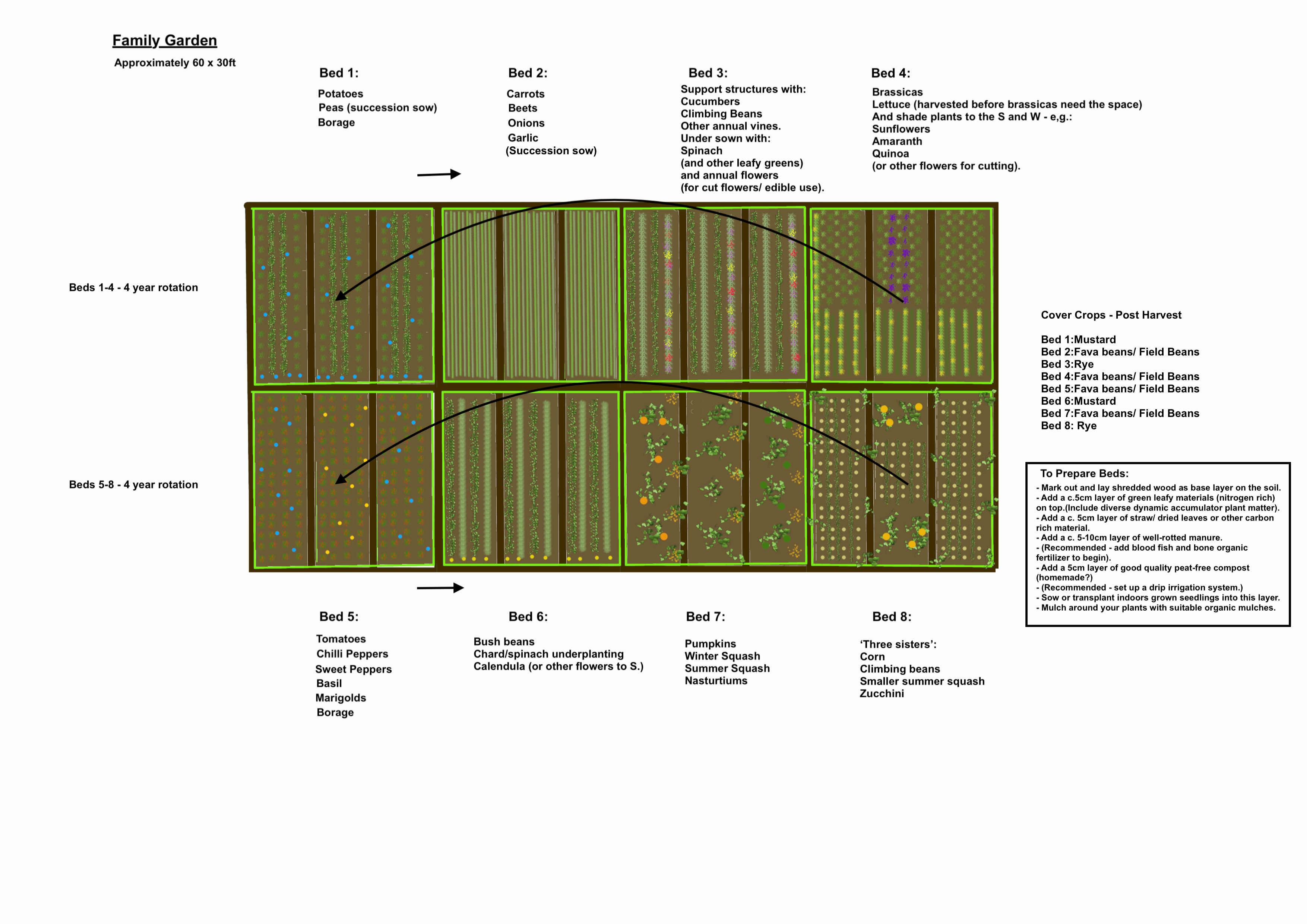 Case Study: Family Garden Planting Plan – EWSP Consultancy