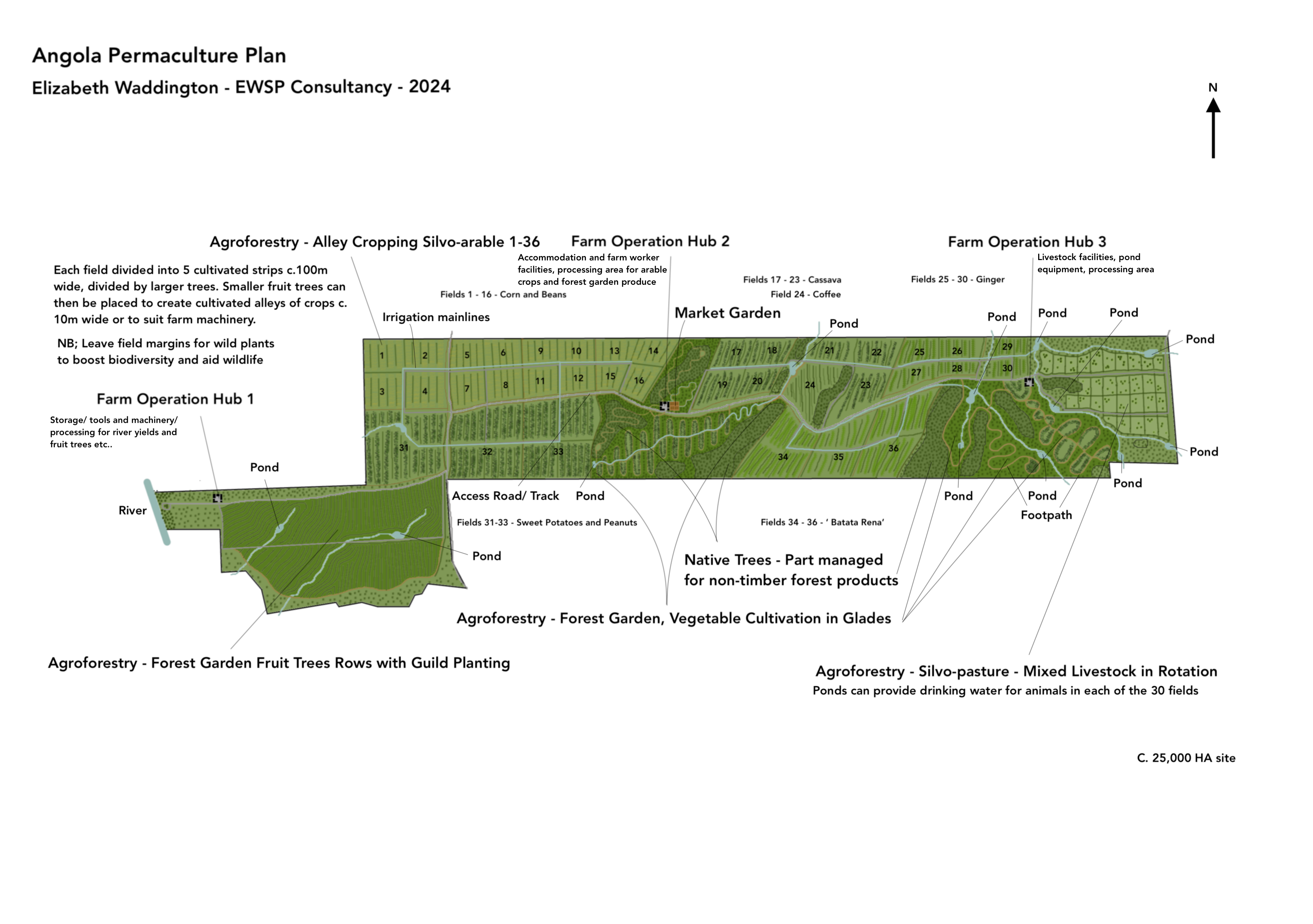 Case Study: Large Scale Agricultural Design, Permaculture in Angola ...
