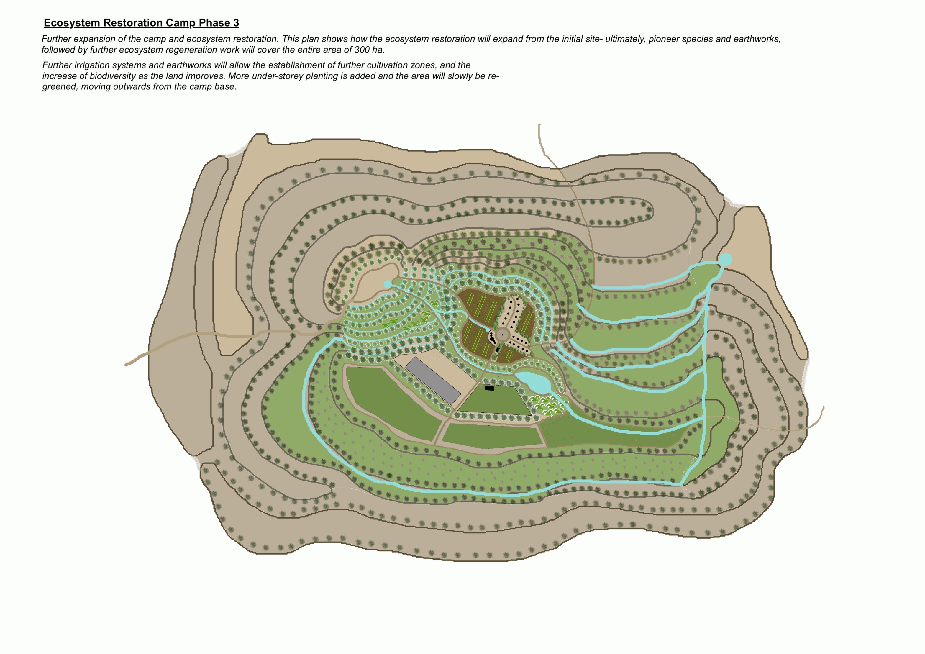 Trees and their Roles in Permaculture Designs – EWSP Consultancy